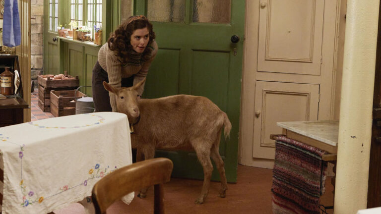 Rachel Shenton interview: 'All Creatures' star's hopes for Helen in ...